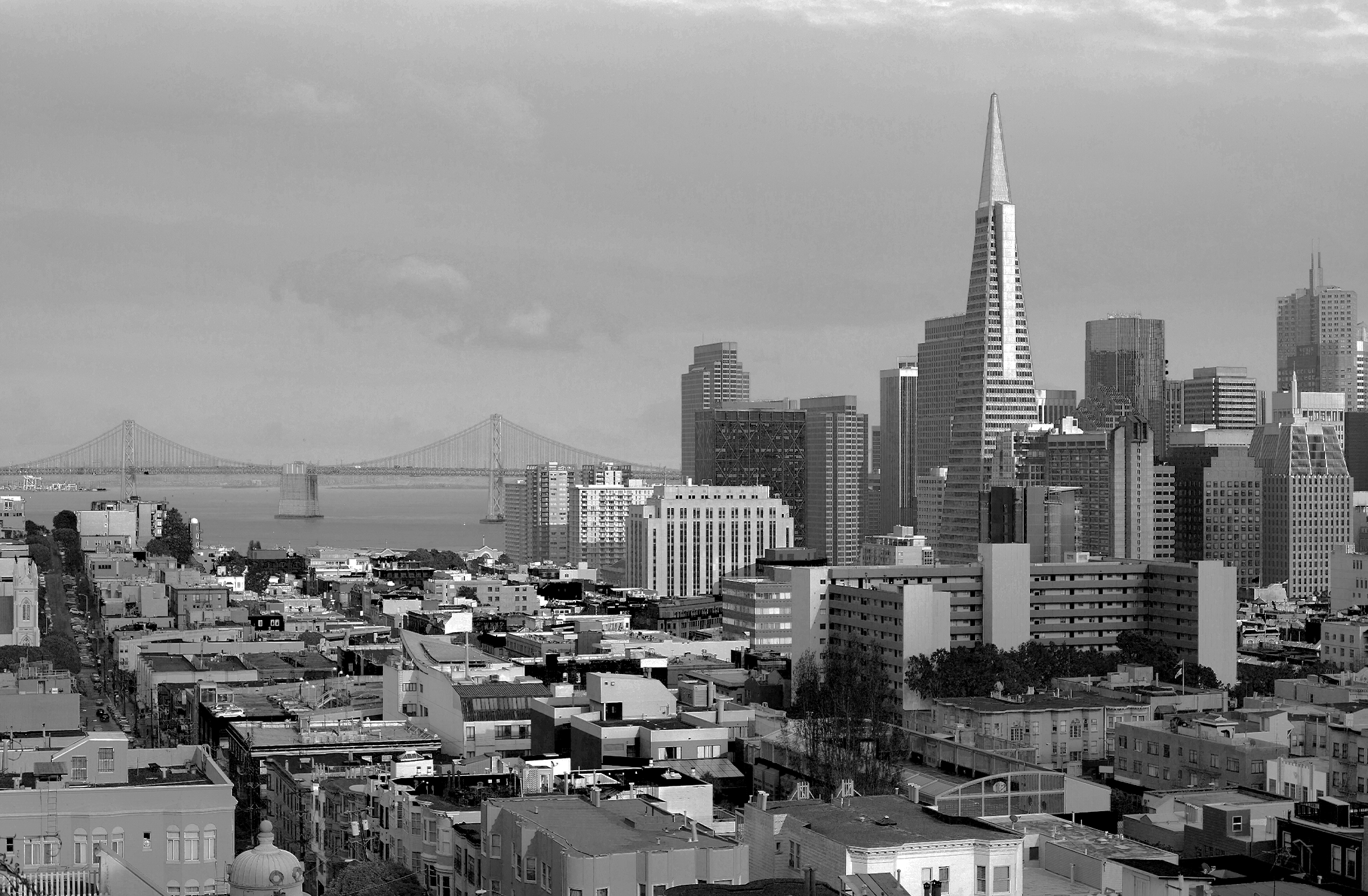 Simplicity - The Leading Partner for Advisors, Financial Institutions ...