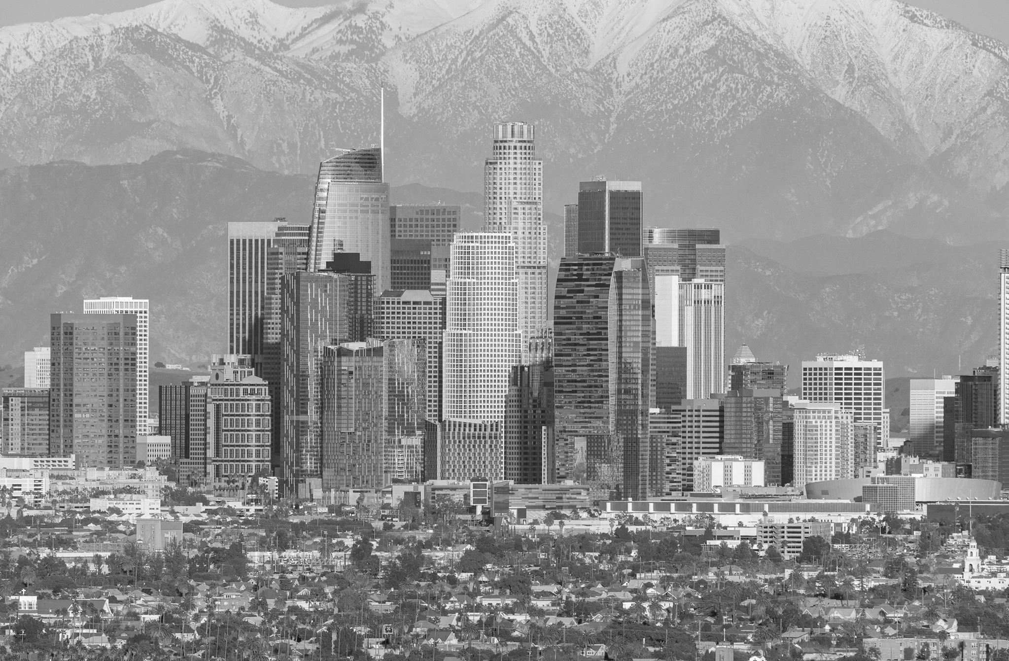 Simplicity - The Leading Partner for Advisors, Financial Institutions ...